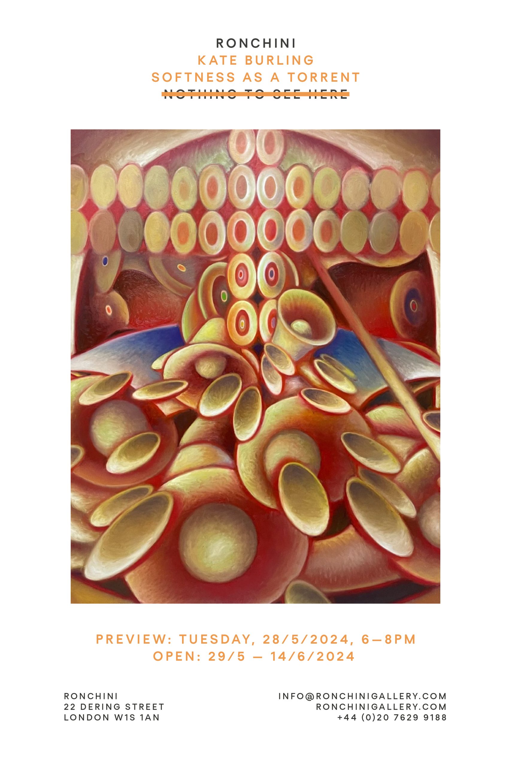 Upcoming Exhibition Ronchini